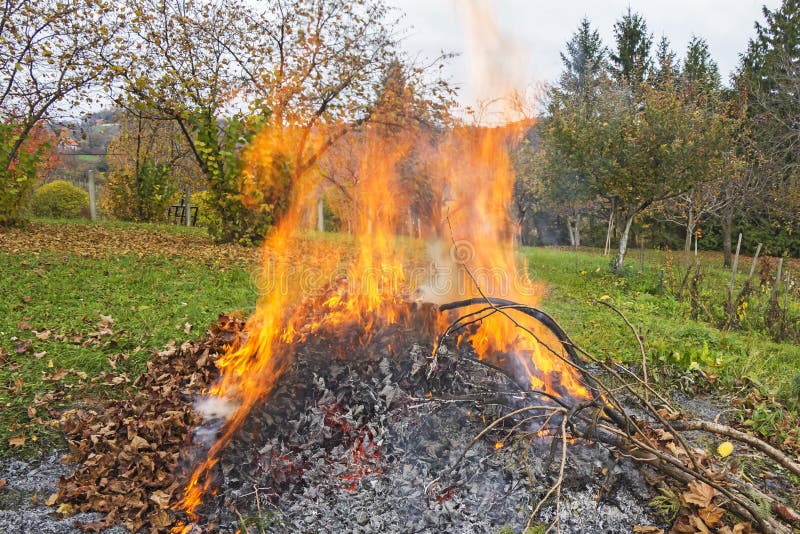 Burning of garden waste stock image. Image of domestic - 62964955