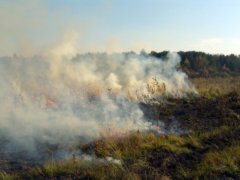 Burning grass. stock image. Image of danger, burning, contamination ...