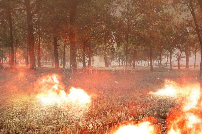 The Burning Ground in the Forest Stock Photo - Image of land, grass ...