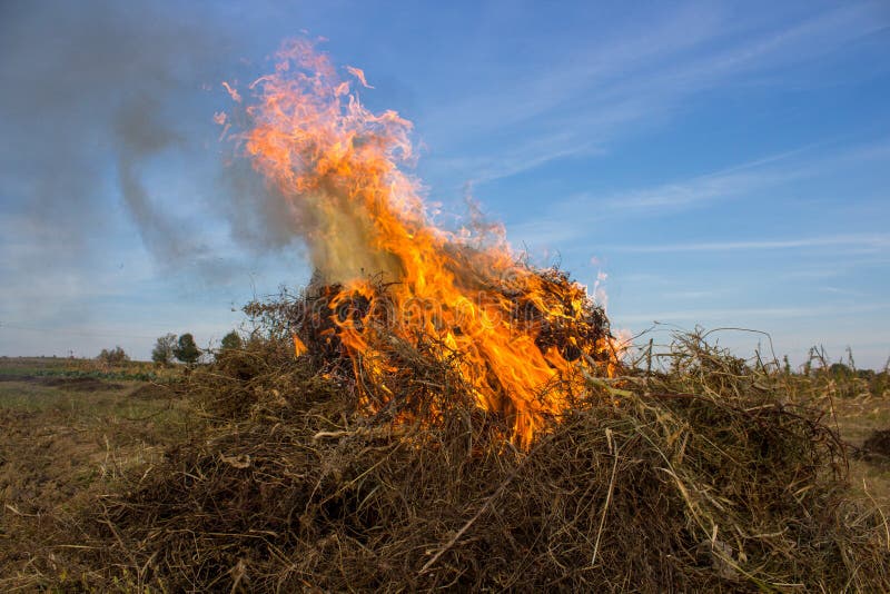Fire of hay stock photo. Image of grass, industry, farms - 118555126