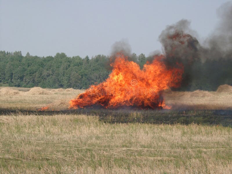 Grain field on fire stock image. Image of live, ecology - 77724585