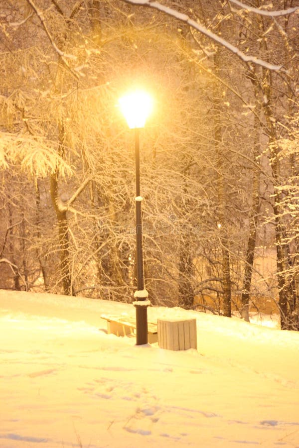 Quiet Winter Snowy Landscape Stock Photo - Image of coldish, drift ...