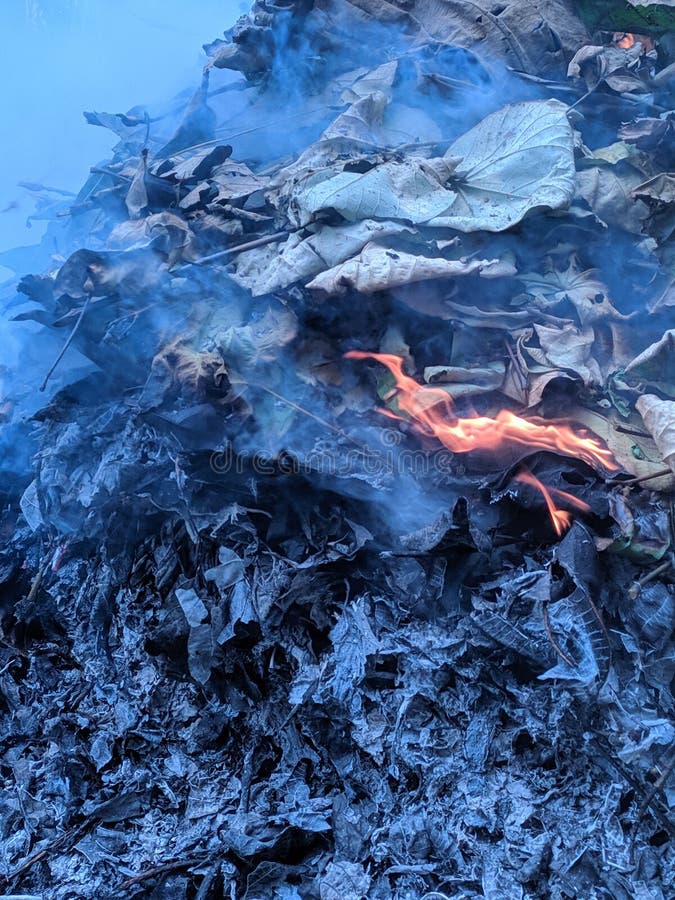 Burning Leaf Litter Stock Photos - Free & Royalty-Free Stock Photos ...