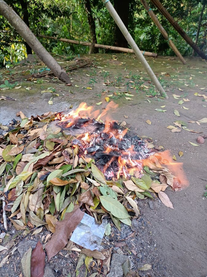 Burning Leaf on Charred Ground with Dramatic Flames. Stock Photo ...