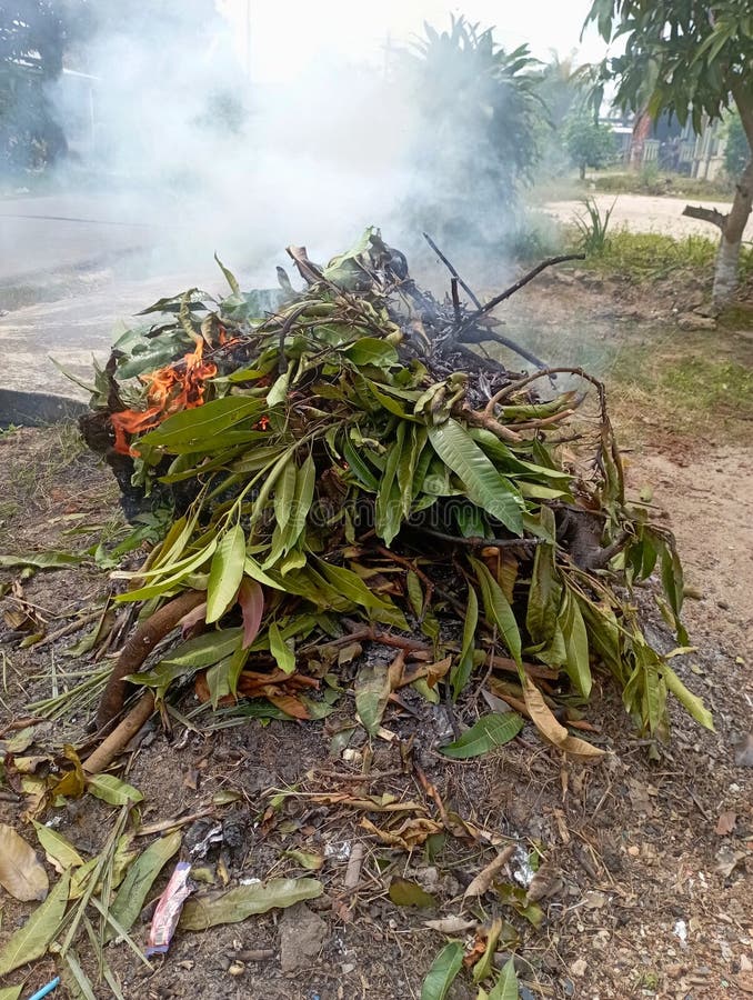 Burning Leaf on Charred Ground with Dramatic Flames. Stock Photo ...