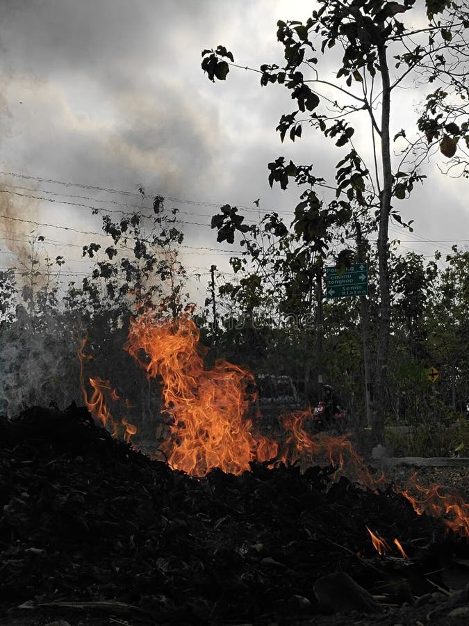 Burning Leafe in Summer Day is Very Hot Stock Image - Image of leafe ...