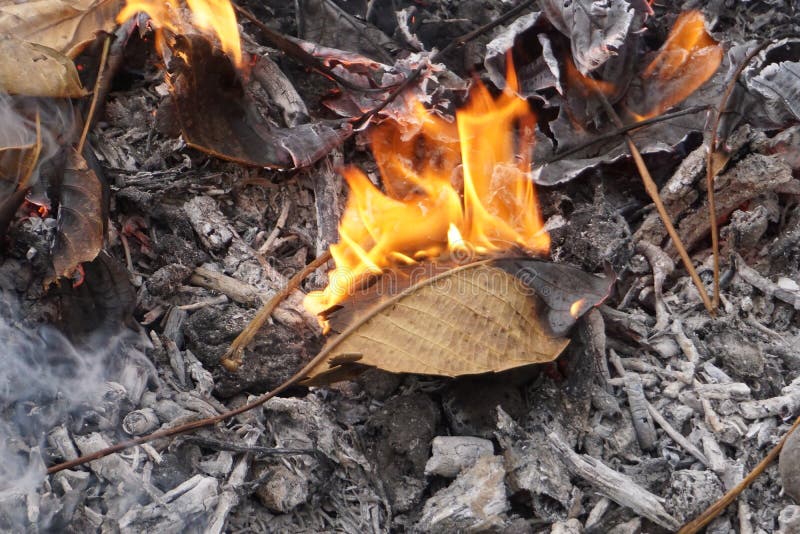 Burning leafs in autumn stock image. Image of fire, backgrounds - 131289615