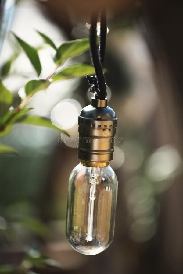 Burning Light Bulb Hanging from a Tree in a Garden Decoration Wedding ...