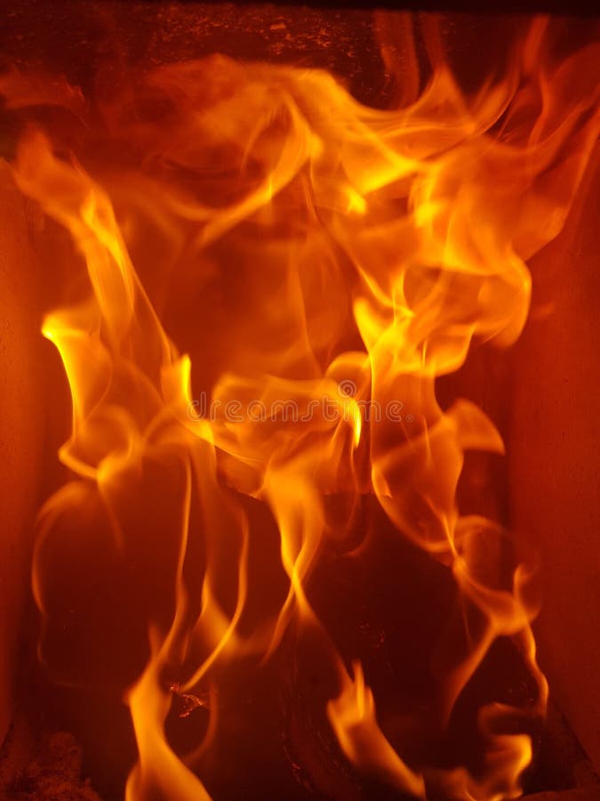 Burning light of fire stock image. Image of petal, lighting - 201203853