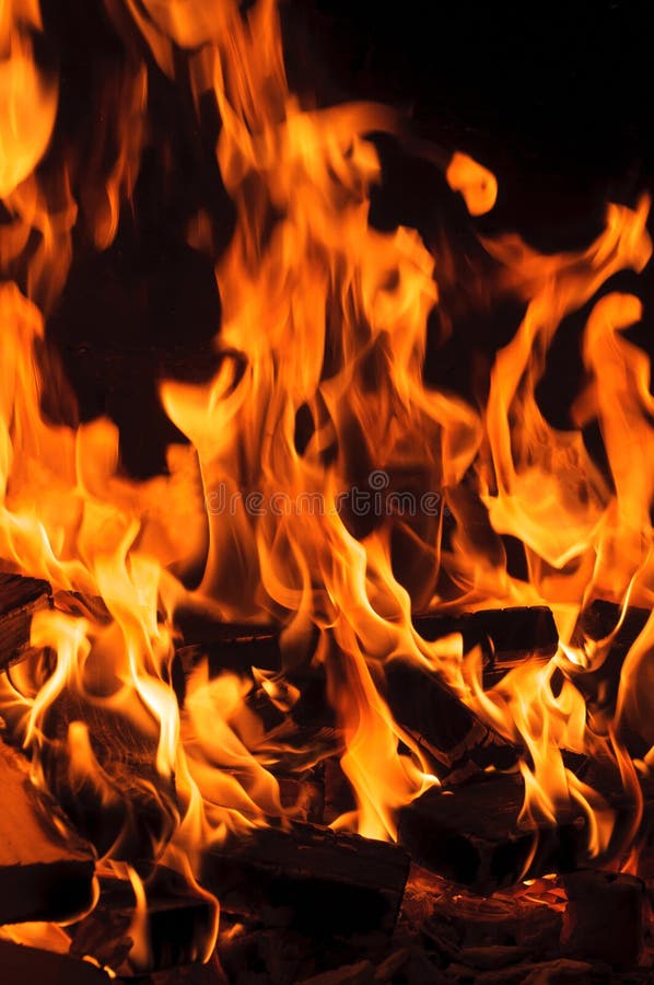 Burning log and fire stock image. Image of fossil, flames - 83731327