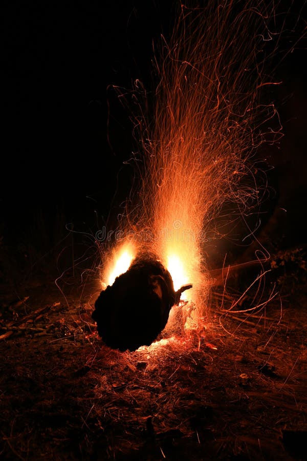 Burning Log in Night Forest Camp Stock Image - Image of inferno, color ...