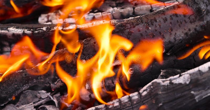 Burning Logs and Boards in the Fire Stock Footage - Video of closeup ...