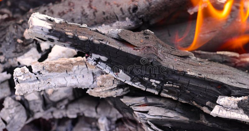 Burning Logs in a Campfire while Cooking and Warming Stock Video ...