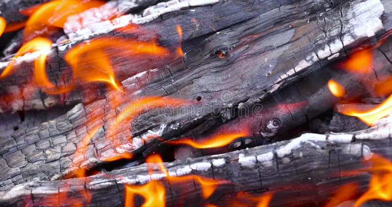 Burning Logs and Boards in the Fire Stock Video - Video of black, light ...