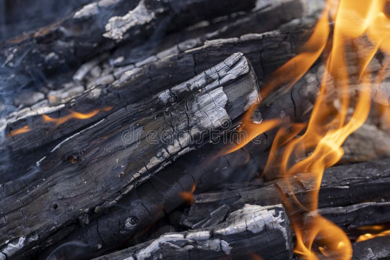 Burning Logs in a Campfire while Cooking and Warming Stock Photo ...