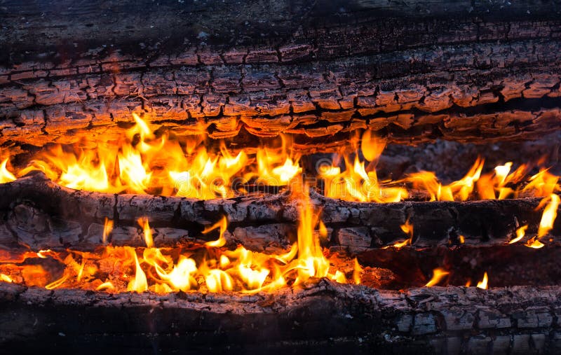 Logs In Bonfire Picture. Image: 83066269