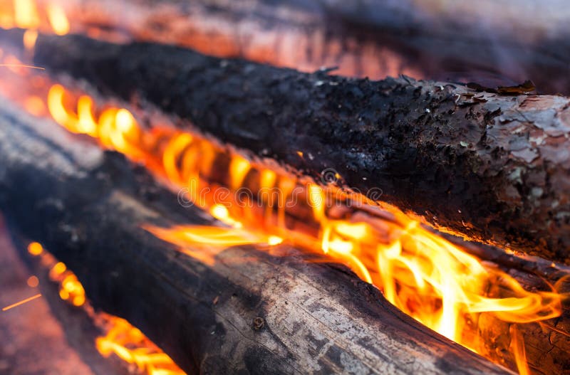 Burning Logs in the Bonfire Stock Photo - Image of inferno, ignition ...