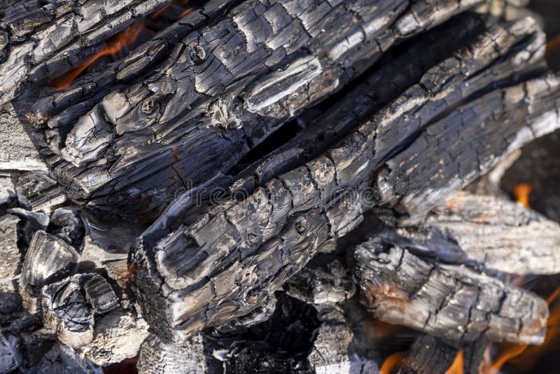 Burning Logs in a Campfire while Cooking and Warming Stock Photo ...