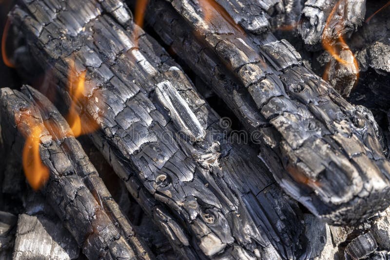 Burning Logs in a Campfire while Cooking and Warming Stock Photo ...