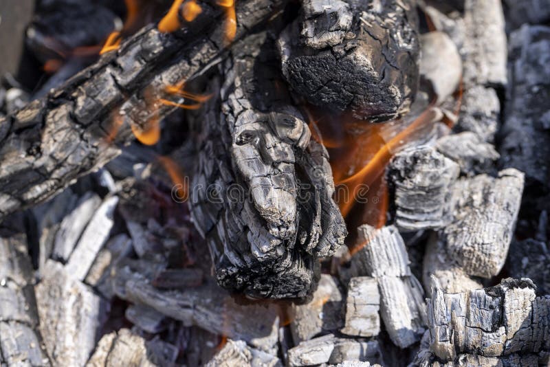 Burning Logs in a Campfire while Cooking and Warming Stock Photo ...