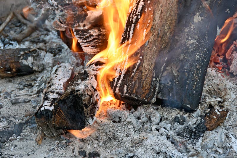 Burning logs in campfire stock image. Image of orange - 94133419