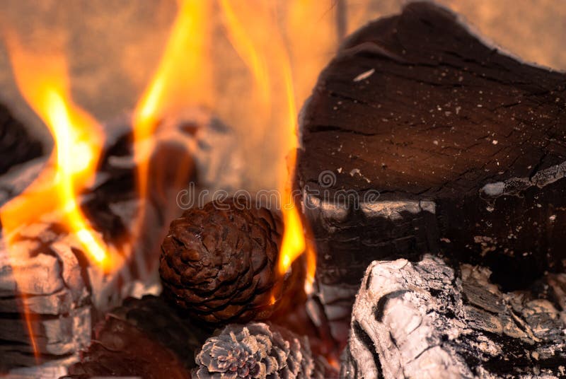 Burning Logs stock photo. Image of flames, firewood, glow - 34444596