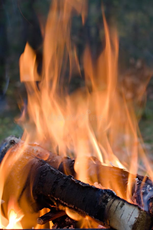 Burning Logs in a Fire on Blurred Background Stock Photo - Image of ...