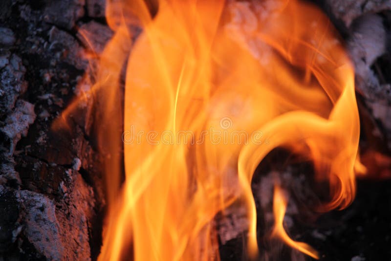 Burning Logs with Open Flames Stock Photo - Image of holiday, open ...