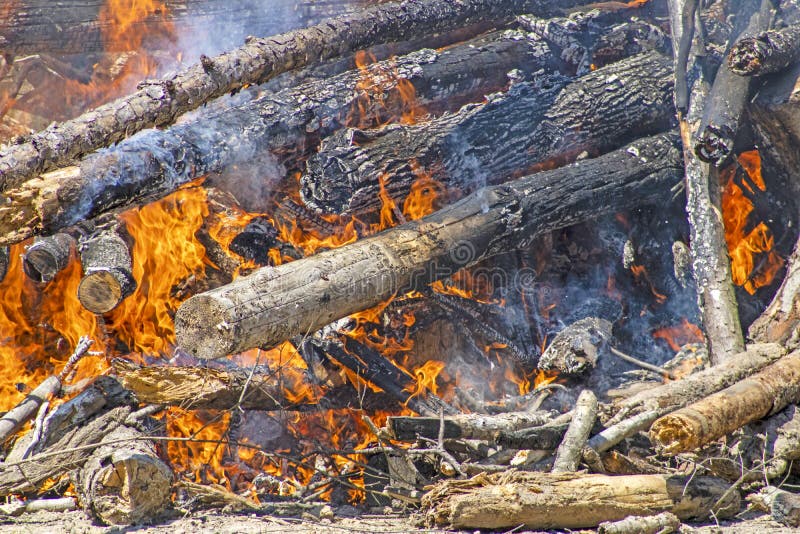 Burning Logs and Sticks in a Pile Stock Image - Image of fire, danger ...