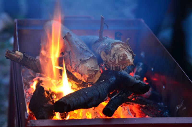 Burning logs stock photo. Image of burning, grilled, wood - 69881262