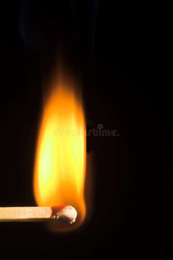 Burning U.S. Medicare Insurance Card Stock Photo - Image of stated ...