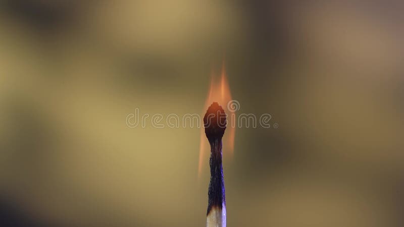 The Burning Match Demonstrates a Smooth Extinguishing, Dims ...