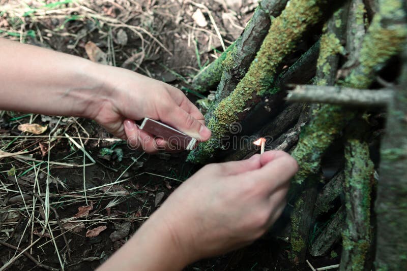 Matches in the Hands in the Forest Stock Image - Image of firewood ...