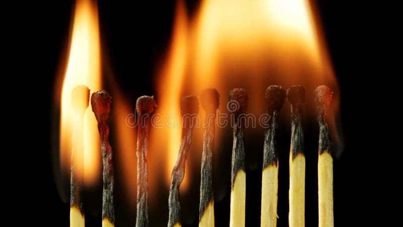 Burning matches stock footage. Video of showing, sticks - 40390750