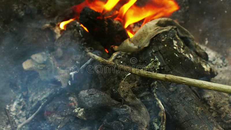 Burning Molten Plastic Releases Harmful Toxic Smoke into the Atmosphere ...