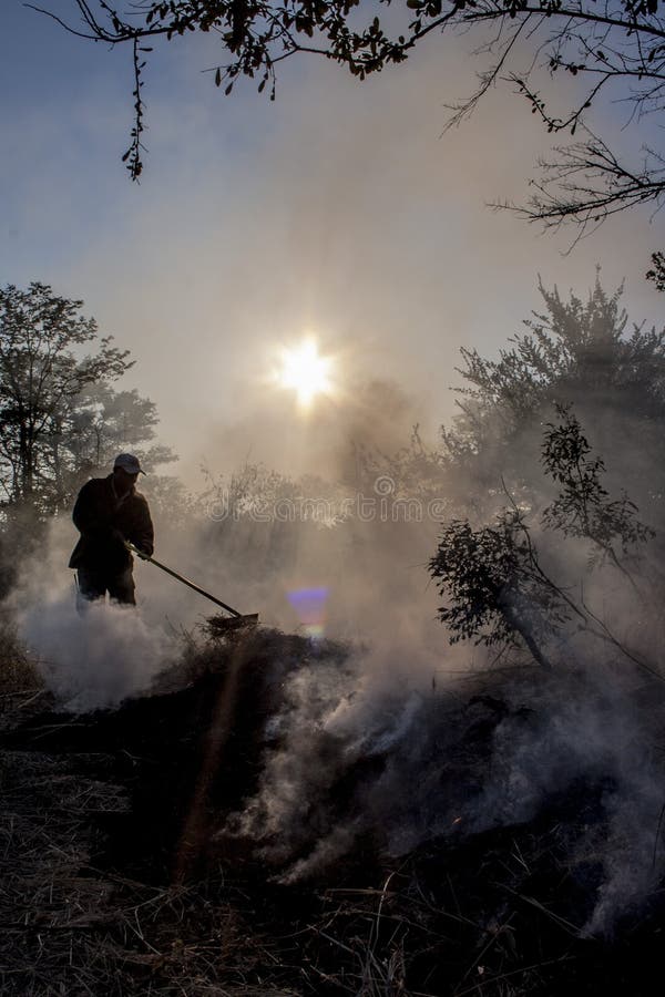 Burning nature stock photo. Image of grass, natures, burn - 88903064