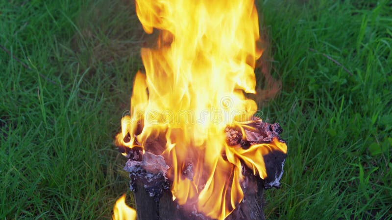Burning an Object on a Stump in a Meadow. Stock Footage - Video of ...