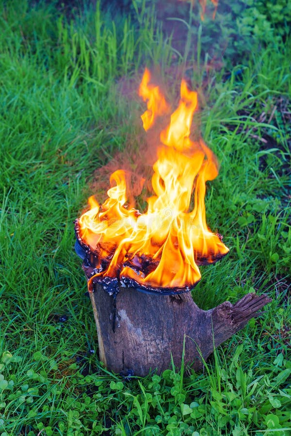 Burning an Object on a Stump in a Meadow. Stock Image - Image of change ...