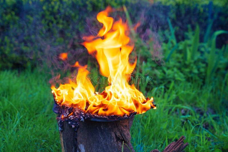Burning an Object on a Stump in a Meadow. Stock Image - Image of fire ...