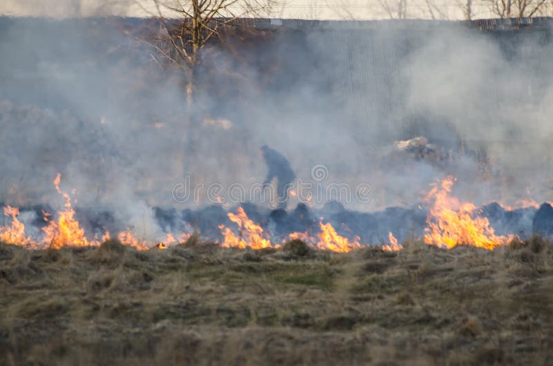 Burning Old, Dry Grass Field in the Spring, Firefighters Work Stock ...