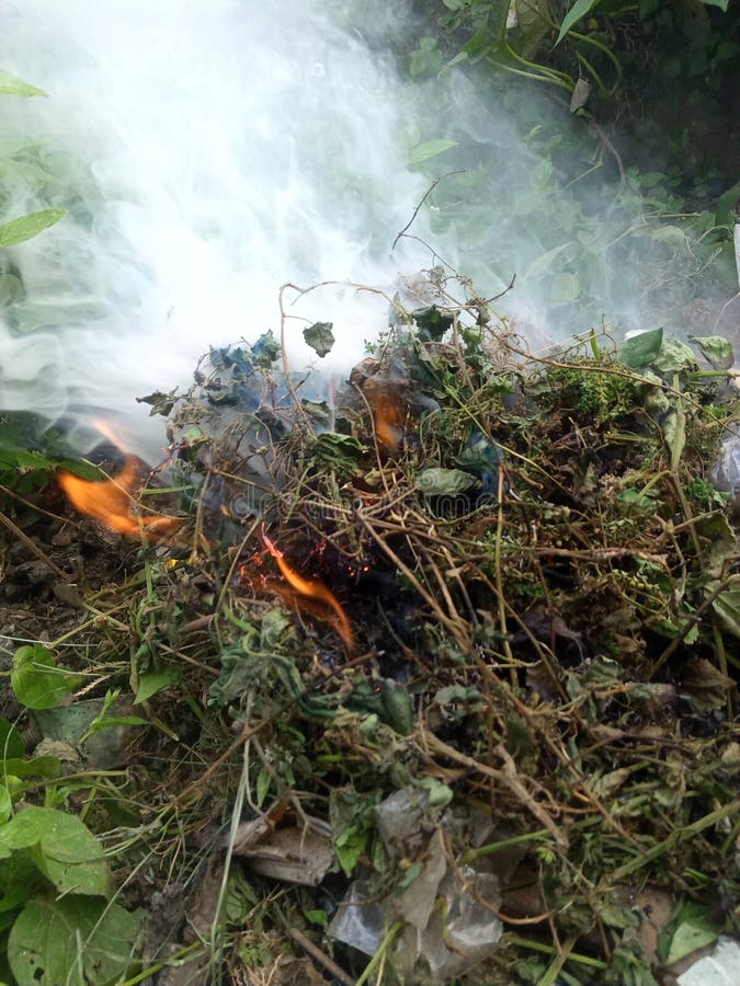 Burning organic waste stock image. Image of nature, organic - 302432659
