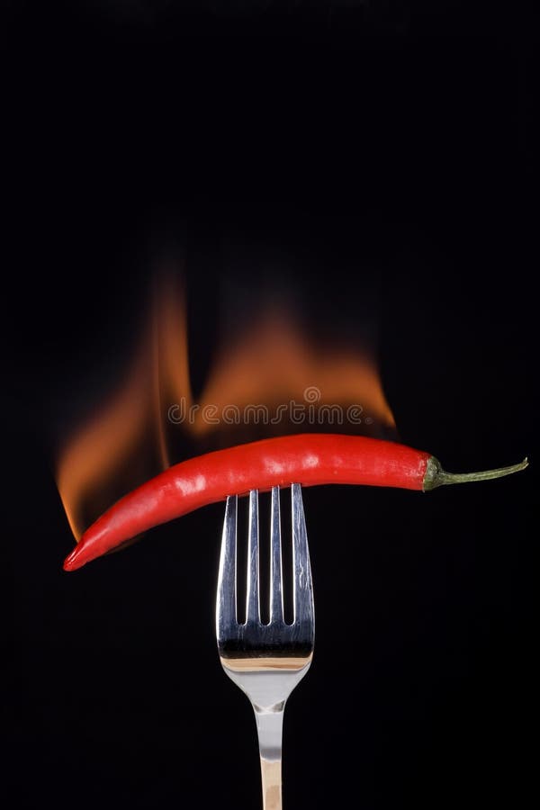Burning Pepper stock photo. Image of pepper, fire, flame - 24053190