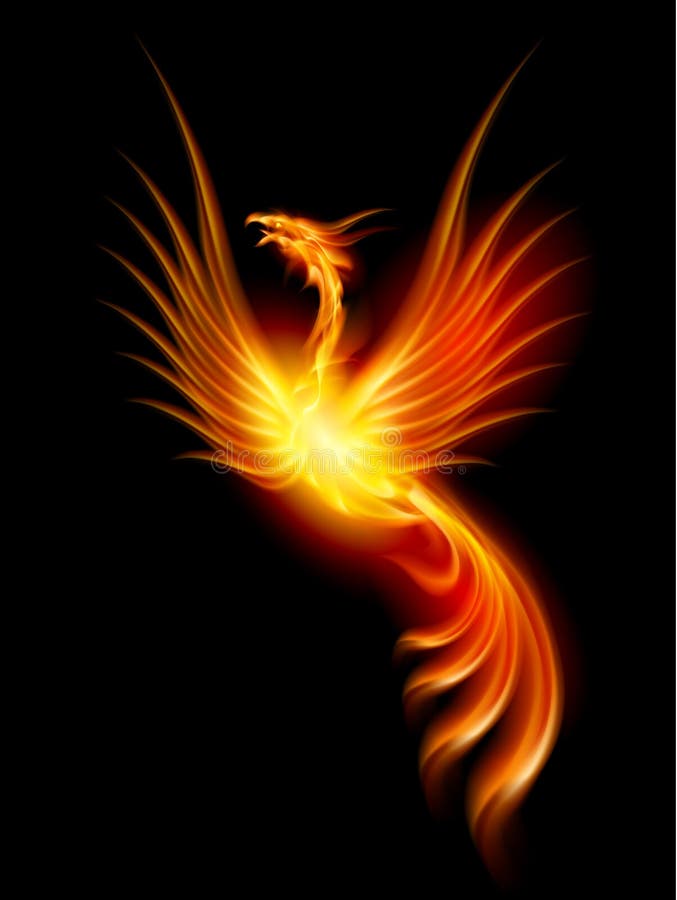 Burning phoenix stock illustration. Image of fiery, night - 21856956