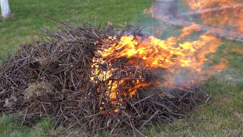 Burning Pile of Dry Branches. a Bonfire Made of Thin, Dry Branches ...