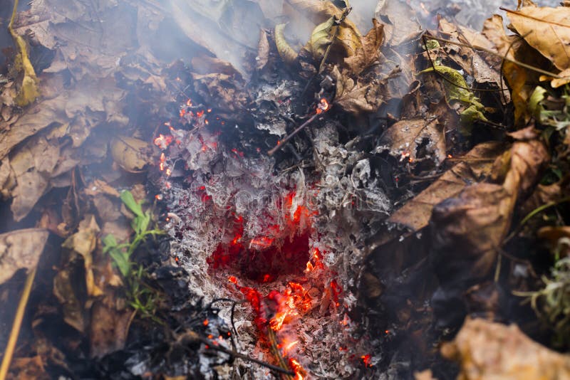 Burning Pile of Dry Leaves and Plants during Typical Autumn Garden Work ...