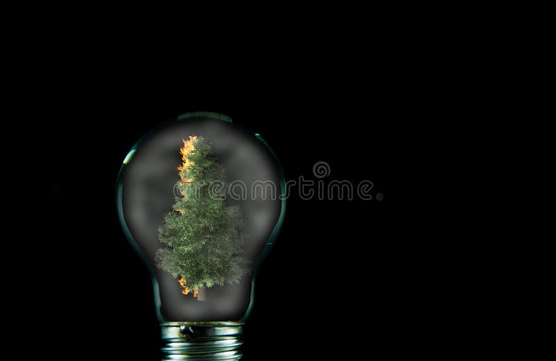 Burning Pine Tree Inside of a Light Bulb with a Lot of Smoke. Stock ...