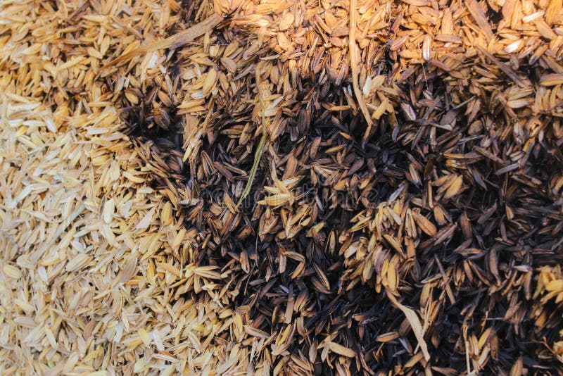 Rice Husk Ash (RHA) is Generated by the Burning of Rice Husk for ...