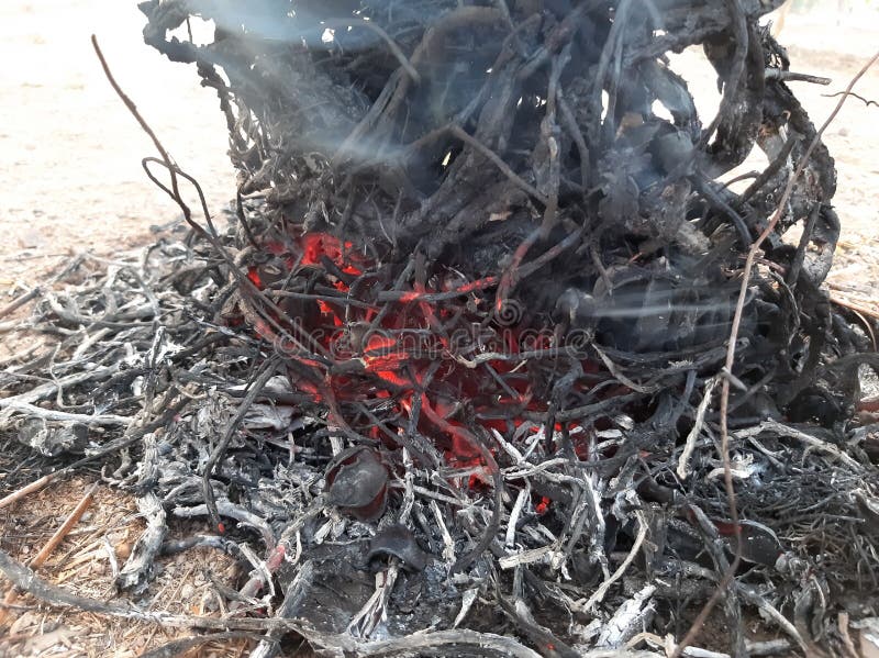 Burning Red Coal. Moving Red Fire and Ashes Stock Photo - Image of ...