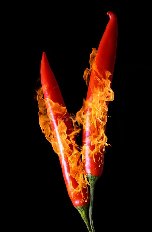246 Flaming Hot Red Chili Pepper Stock Photos - Free & Royalty-Free ...