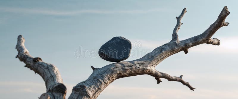 Burning Rock on a Branch - Stunning Visual Stock Photo - Image of ...